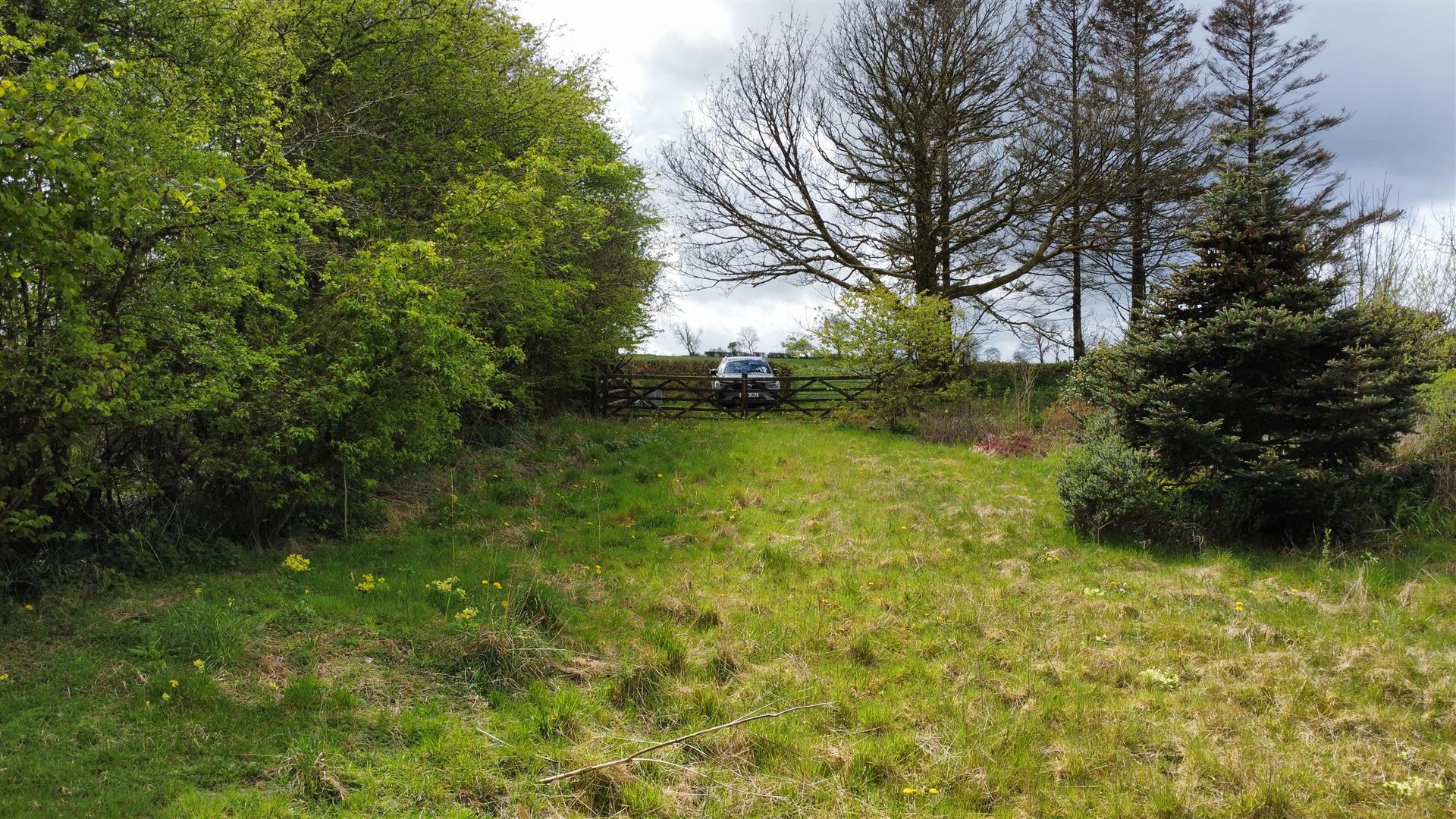 Llanboidy – JJMorris